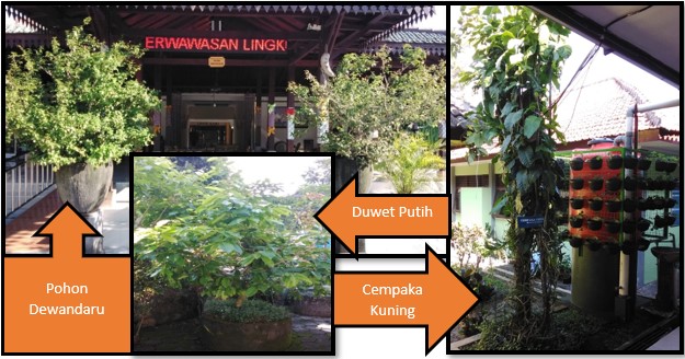 Pohon Mojo dan Vanili Tambah Varian Keanekaragaman Hayati di SMKN 1 ...